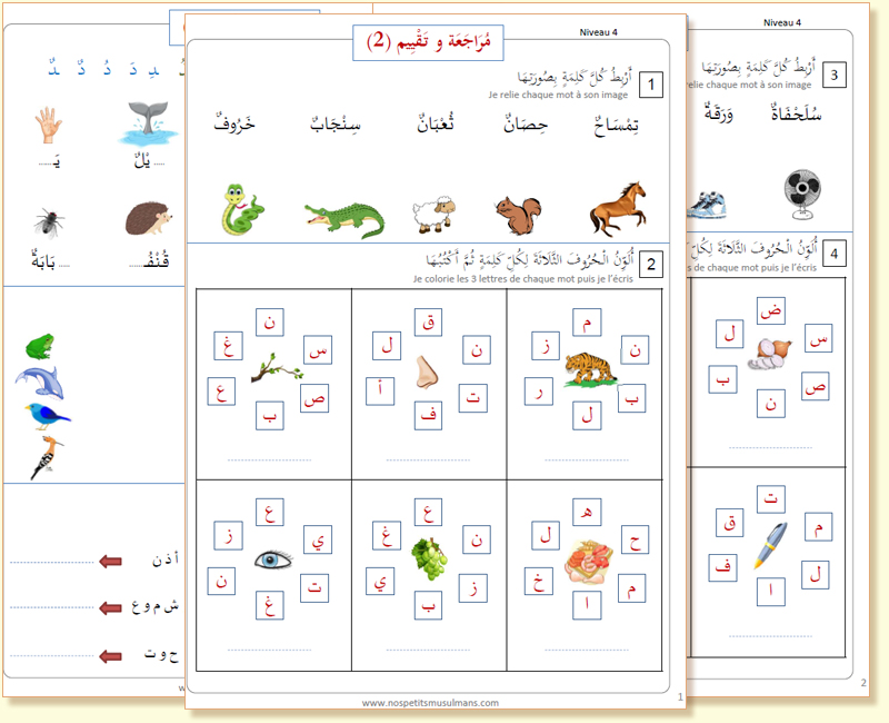 Apprentissage de la langue arabe niveau primaire : leçons et exercices
